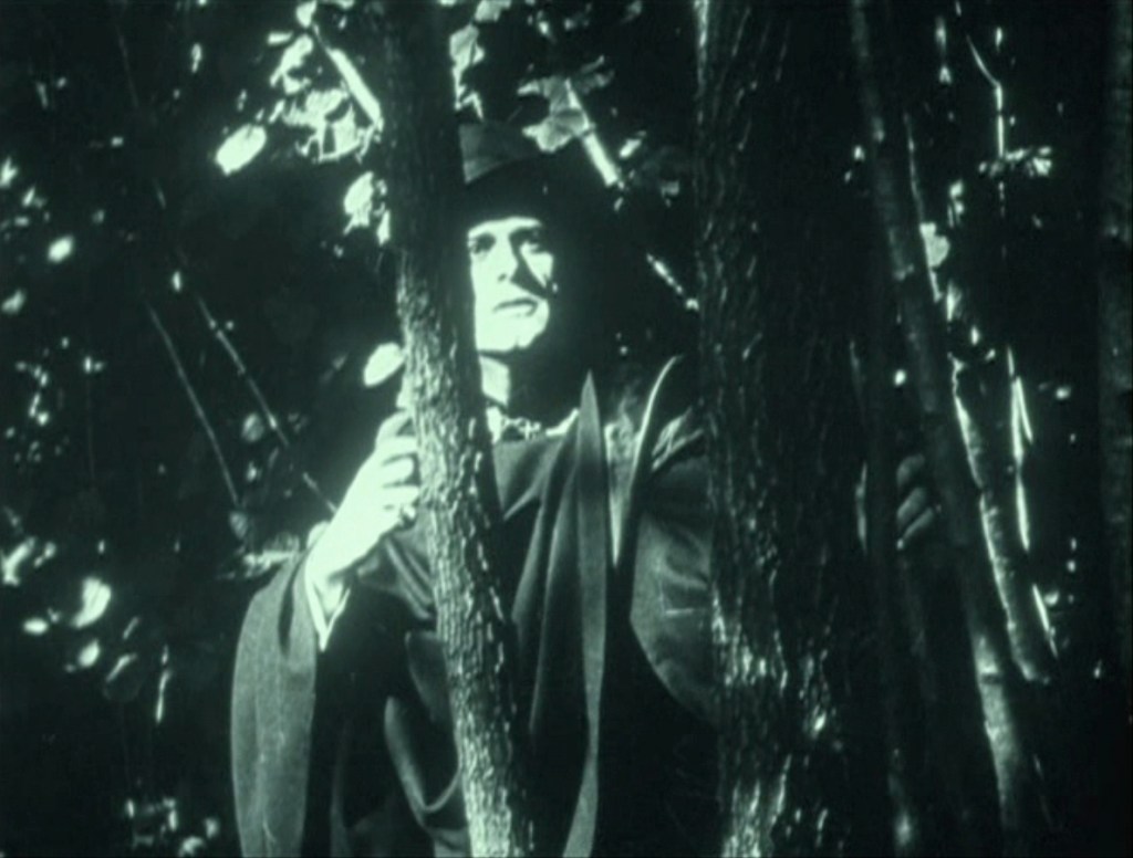 Musidora | Medleyana