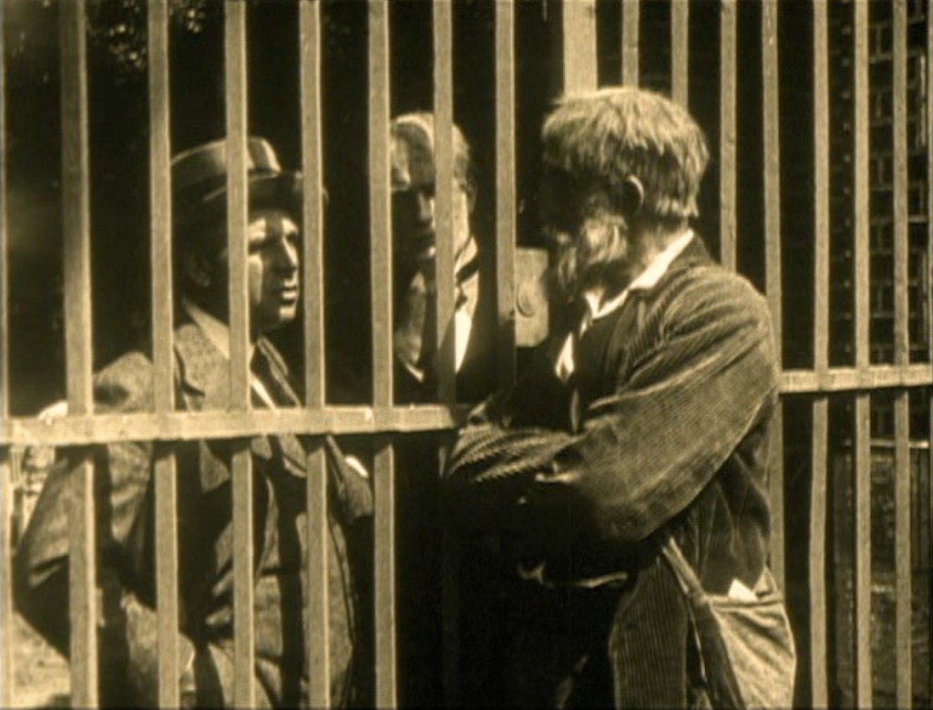 Musidora | Medleyana