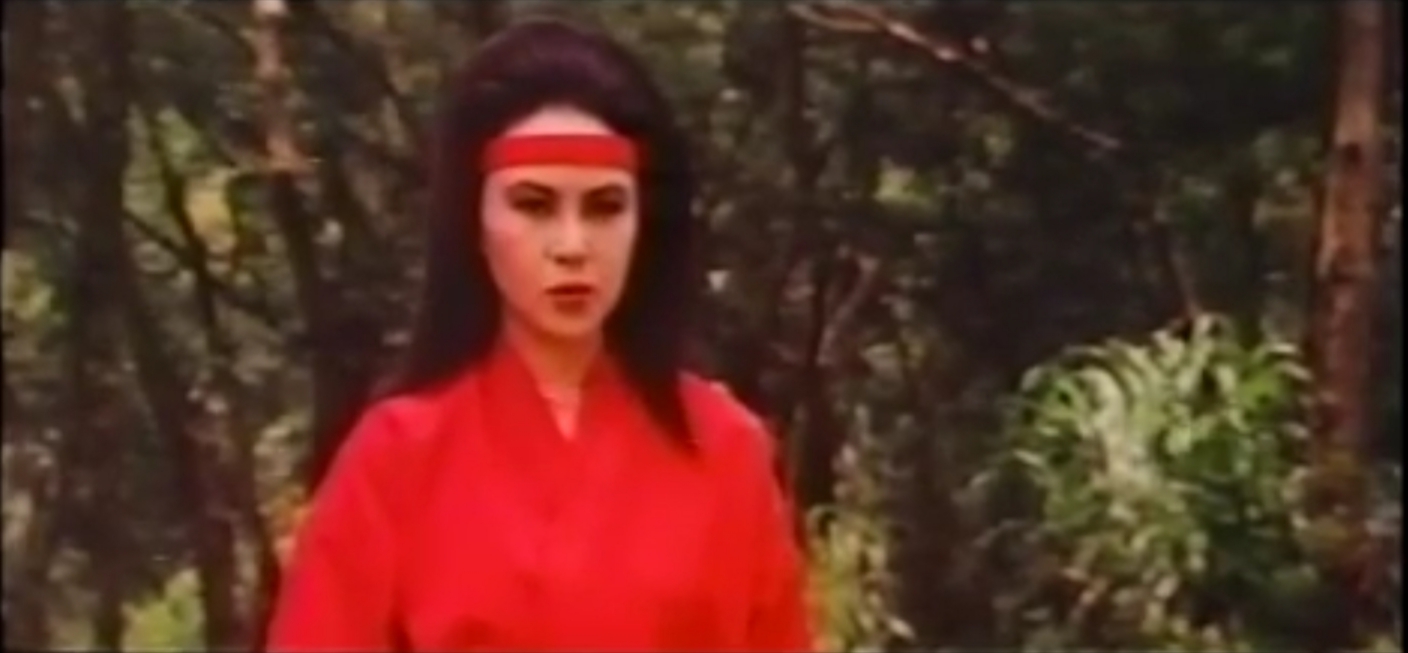 Challenge of the Lady Ninja | Medleyana