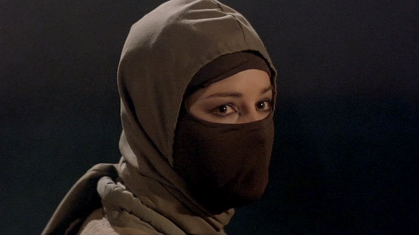 Girl Ninja Movie A Life Of Ninja (1983) | Ninjas All The Way Down